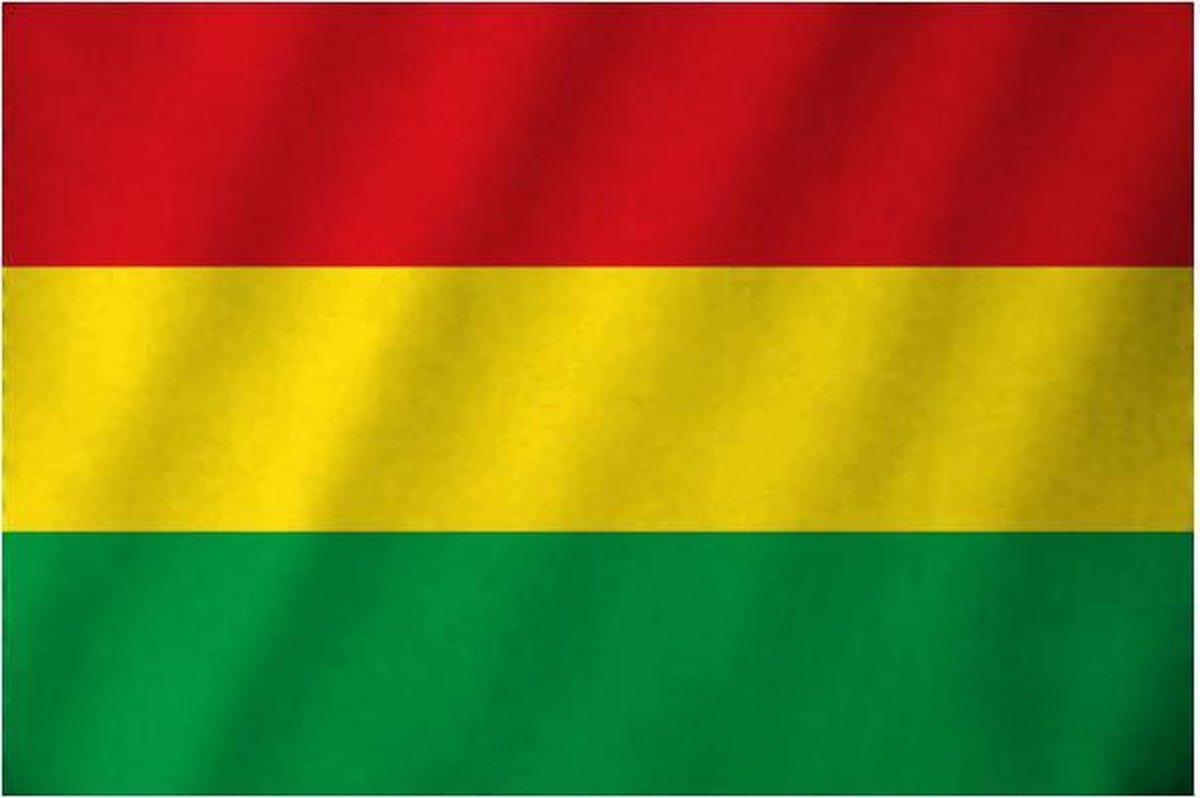 Carnavalsvlag Limburg 200x300cm XXL | bol.com