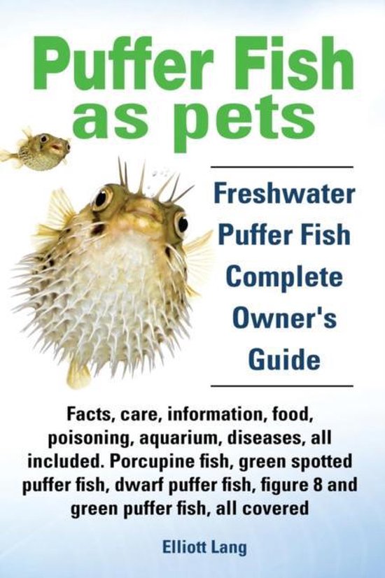 Puffer Fish as Pets. Freshwater Puffer Fish Facts, Care, Information ...
