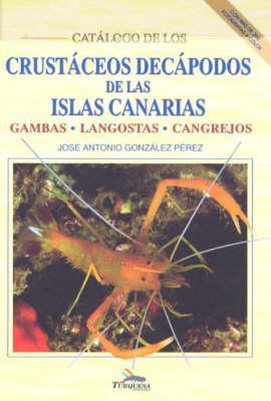 Catalogo de los Crustaceos Decapodos de las Islas Canarias: Gambas ...