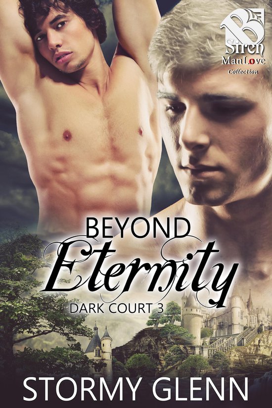Dark Court 3 - Beyond Eternity (ebook), Stormy Glenn | 9781640100664 | Boeken | bol.com