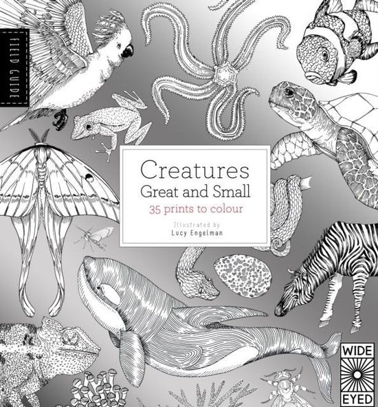 Field Guide Creatures Great & Small, Lucy Engelman | 9781847806352 ...