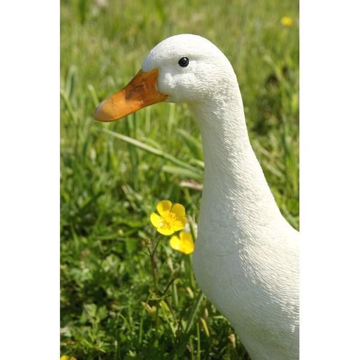 Witte eend - levensecht | bol.com