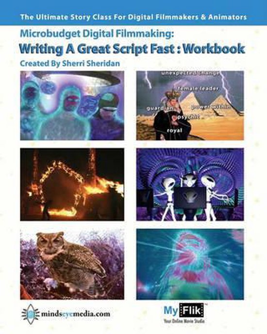 Writing A Great Script Fast Workbook | 9781440429835 | Sherri Sheridan ...