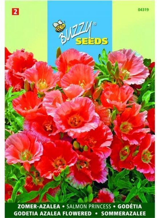 Zomerazalea Salmon Princess - Godetia grandiflora | bol