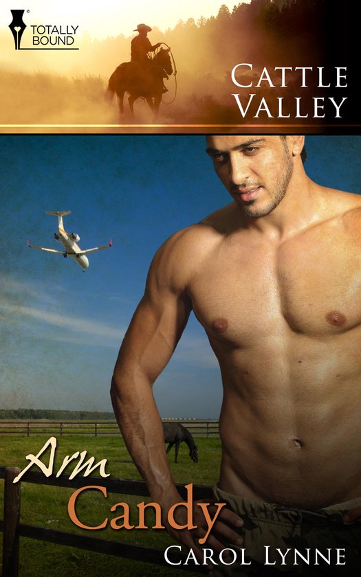 Cattle Valley (ebook), Carol Lynne | 9781907280153 | Boeken | bol.com