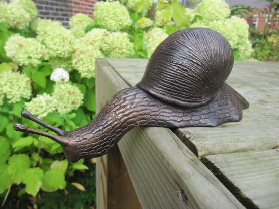 BRONZEN SLAK / RANDHANGER / BRONS / TUINBEELD | bol