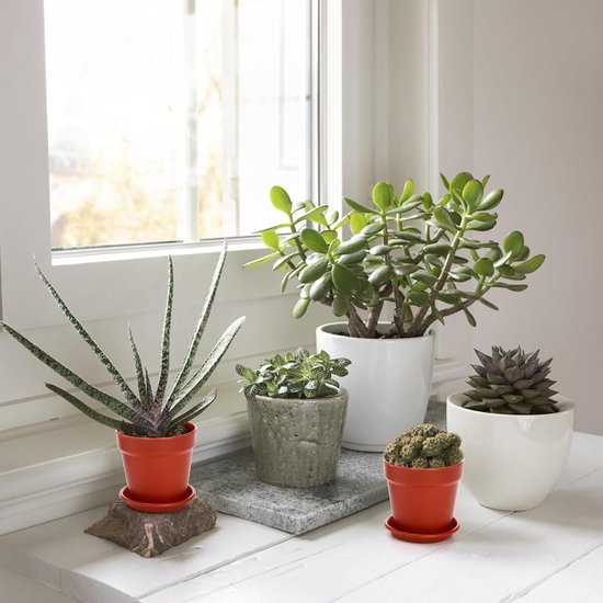 20 stuks plastic plantenpotten 4 inch bloempotten met afvoergat en lade ...