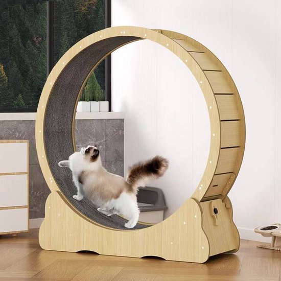 ALPACAT - Roue d'exercice pour chat - Roue d'exercice pour chat ...