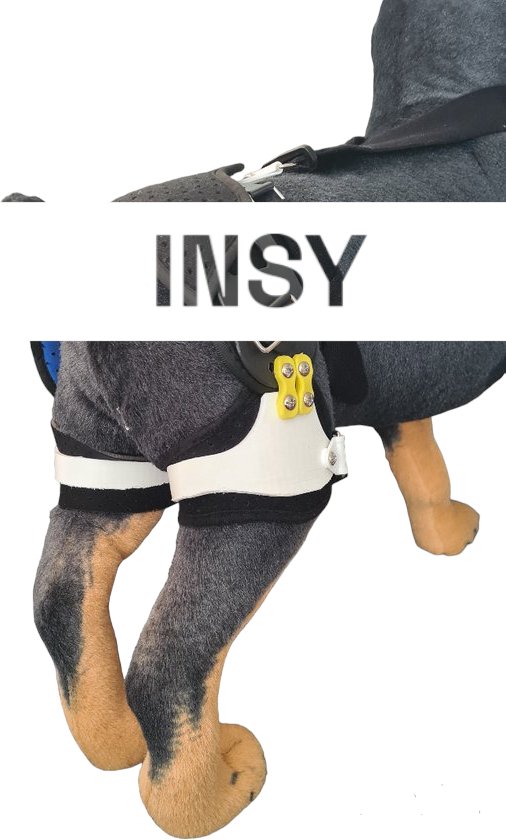 Hondenbrace, hond brace, dog brace, honden heup brace, honden halsband ...