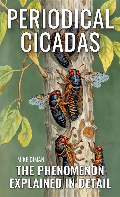 Periodical Cicadas - The Phenomenon Explained In Detail (ebook), Mike ...