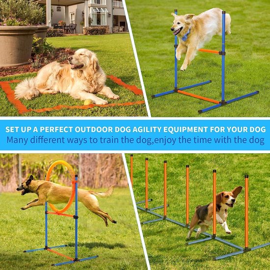 Honden Agility Set - Behendigheids training voor de hond - Slalom ...