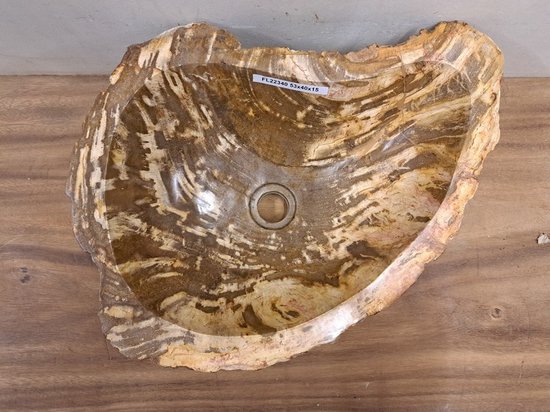Waskom van versteend hout - 53x40x15cm - FL22340 | bol