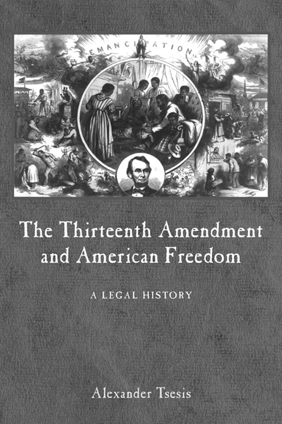 The Thirteenth Amendment and American Freedom | 9780814782767 ...