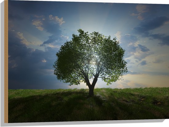 Hout - Landschap - Natuur - Boom - 80x60 cm - 9 mm dik - Foto op Hout ...