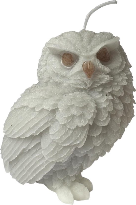 Uil groot kaars - Roze | bol