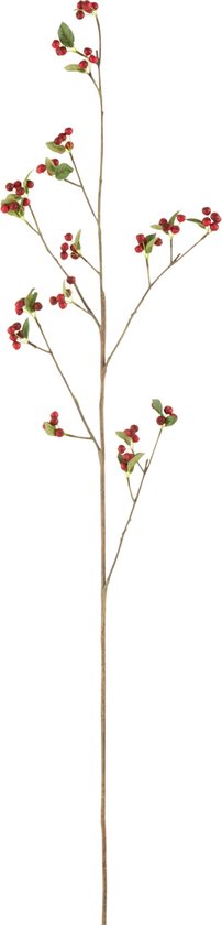 J-Line decoratie tak Bessen Fijn - kunststof - rood/groen - medium - 8 ...