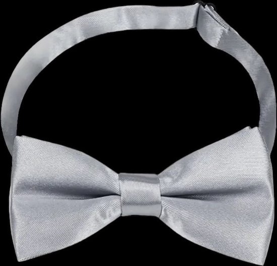 Vlinderdas voor kinderen (Preppy Style) Zilverachtig 10 x 5 cm | bol