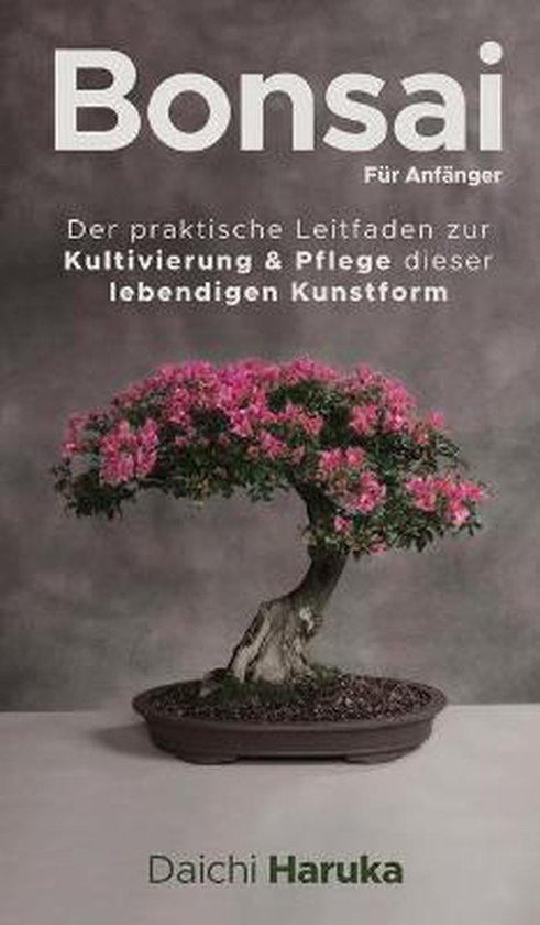Bonsai Pflege Fur Anfanger