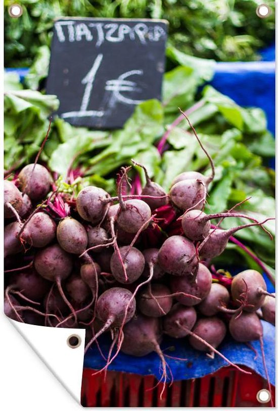 Betteraves rouges en vente sur le marché Affiche de jardin 60x90 cm ...