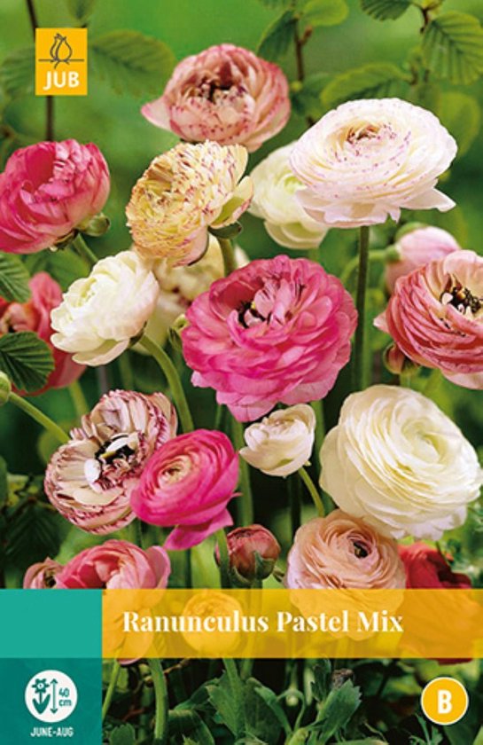 2 stuks - JUB - Ranunculus Pastel Mix 7 bollen | bol