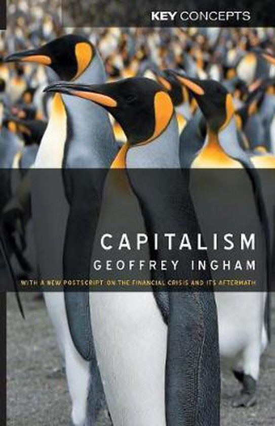 Capitalism | 9780745636481 | Geoffrey Ingham | Boeken | bol.com