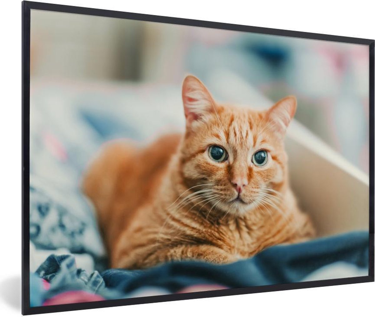 Fotolijst incl. Poster - Kat - Kleding - Kast - 90x60 cm - Posterlijst ...