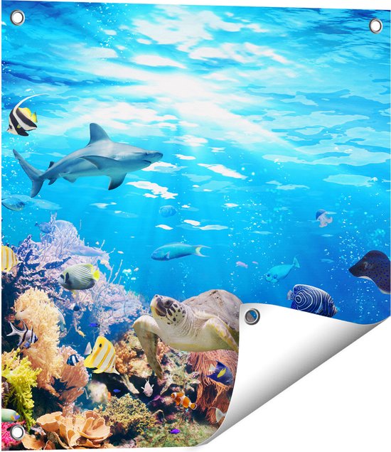 Gards Tuinposter Vissen met Koraalrif onder Water - 50x50 cm - Tuindoek ...