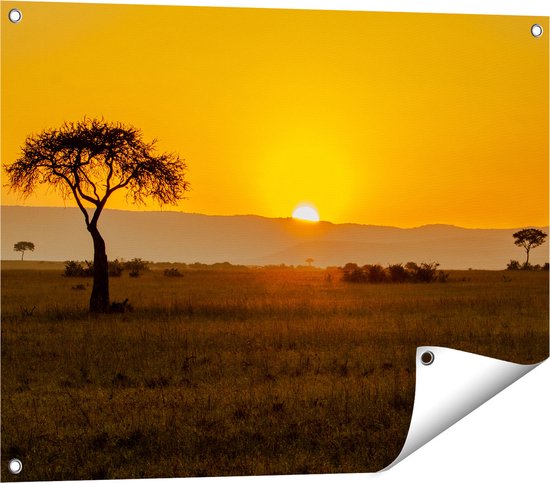 Gards Tuinposter Zonsopgang in de Savanne met een Boom - 80x60 cm ...