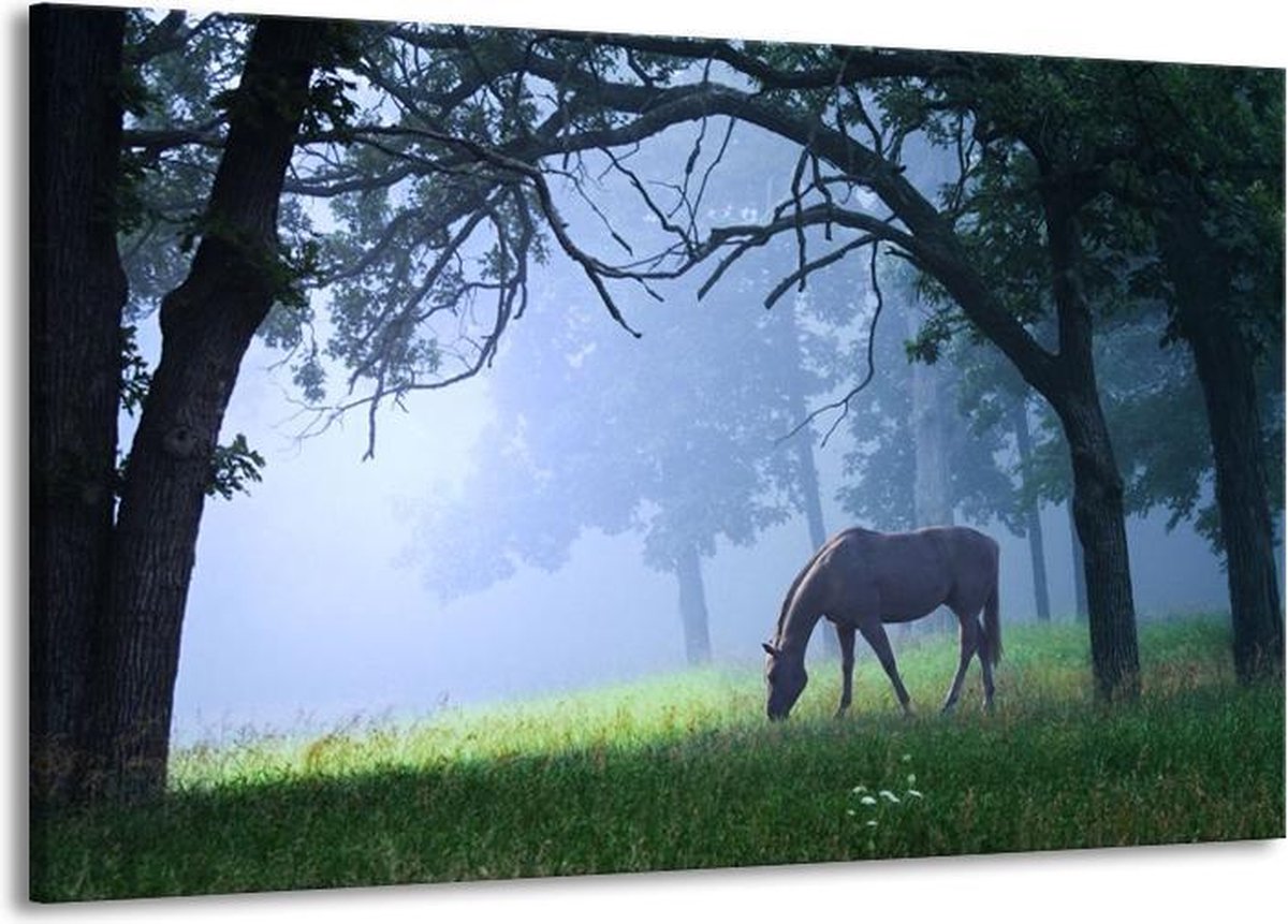 Schilderij Op Canvas - Groot - Paard - Grijs, Groen, Zwart - 140x90cm ...