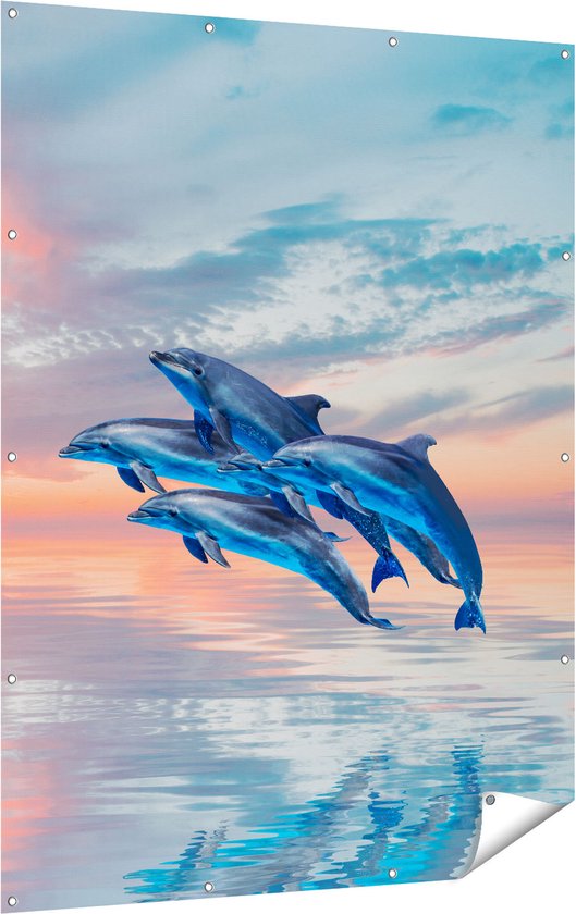 Gards Tuinposter Groep Dolfijnen Springen uit het Water - 120x160 cm ...