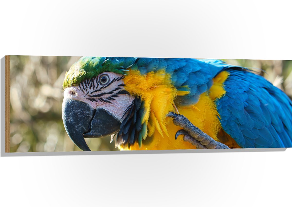 Hout - Blauw met Gele Ara Papegaai Opzijkijkend - 120x40 cm - 9 mm dik ...