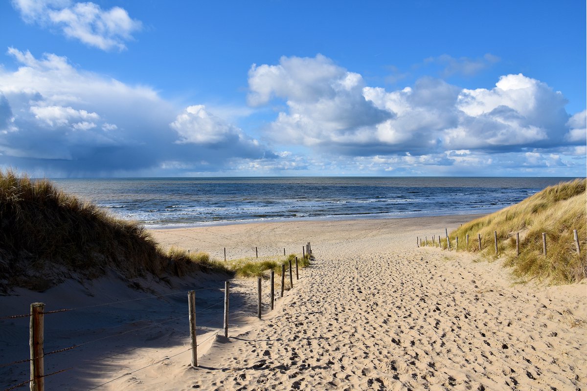 Texelphotos.nl - Foto afdruk als tuinposter – Texel Duinpad - Duinen ...