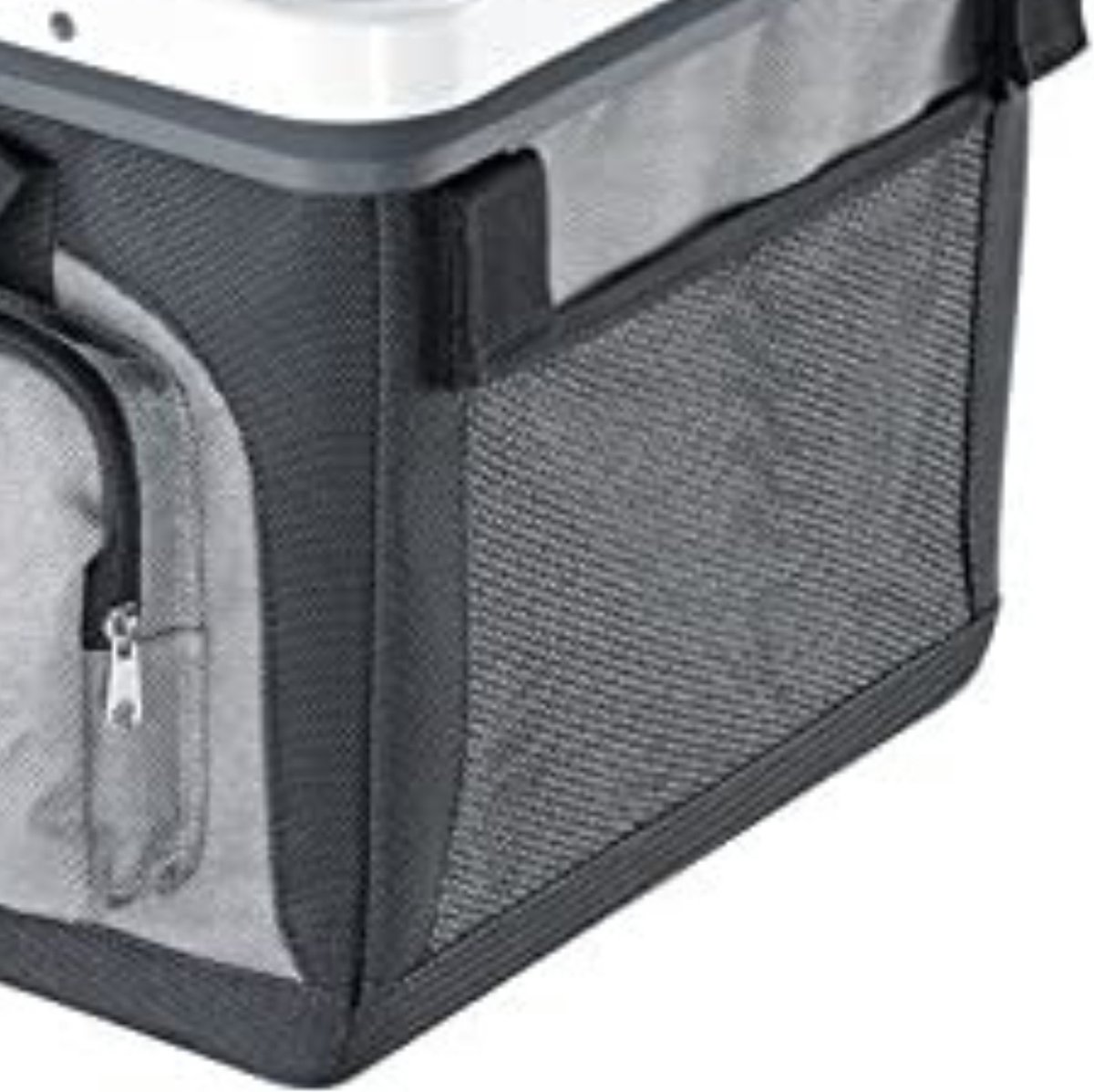 Draagbare Thermo-Elektrische Koelbox - 20 liter - 12 en 230 V voor Auto, Vrachtwagen... | bol