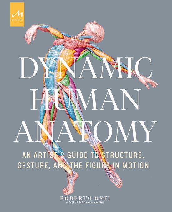 Dynamic Human Anatomy: An Artist's Guide to Structure, Gesture, and the ...