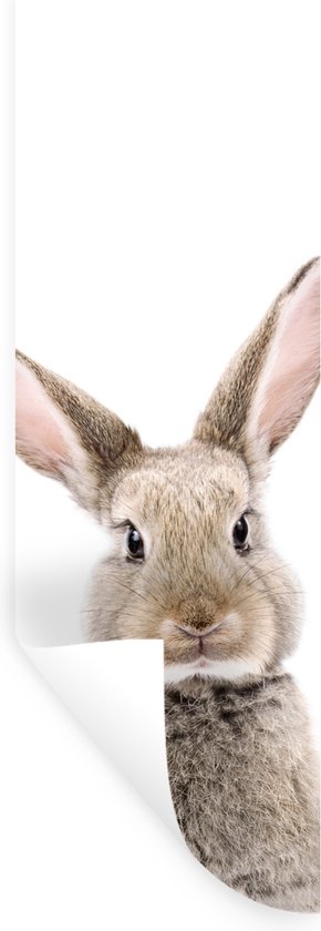 Muurstickers - Sticker Folie - Konijn - Dieren - Natuur - Bruin - 30x90 ...