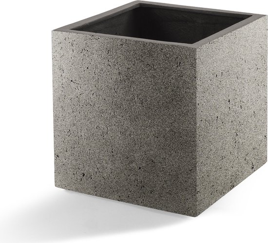 Nerium oleander inclusief 40x40 Grigo Cube Antraciet - 190cm | bol