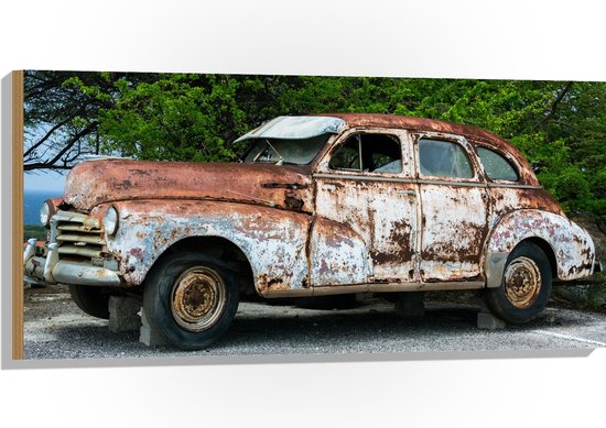 Hout - Verroeste Auto bij Bomen - 100x50 cm - 9 mm dik - Foto op Hout ...