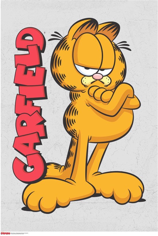 Garfield Poster -M- Garfield Multicolours | bol