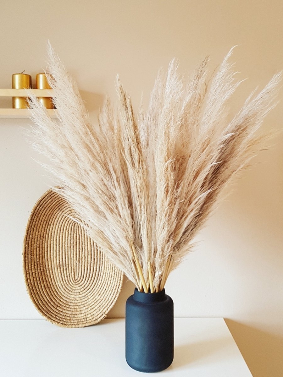 Pampas pluimen - Gedroogd - Pluimen met Gusta Vaas Recht ...