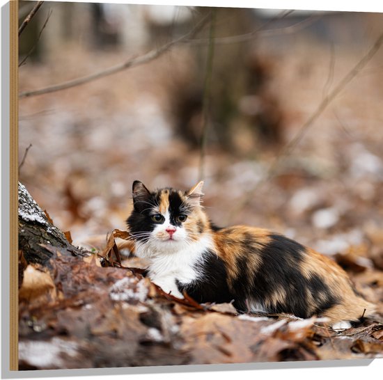 Hout - Bruin met Zwarte Lapjeskat liggend in Bos vol Herfstbladeren ...