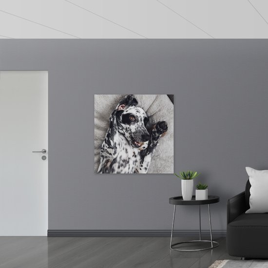 Hout - Blijkijkende Dalmatiër Hond op Rug - 100x100 cm - 9 mm dik ...