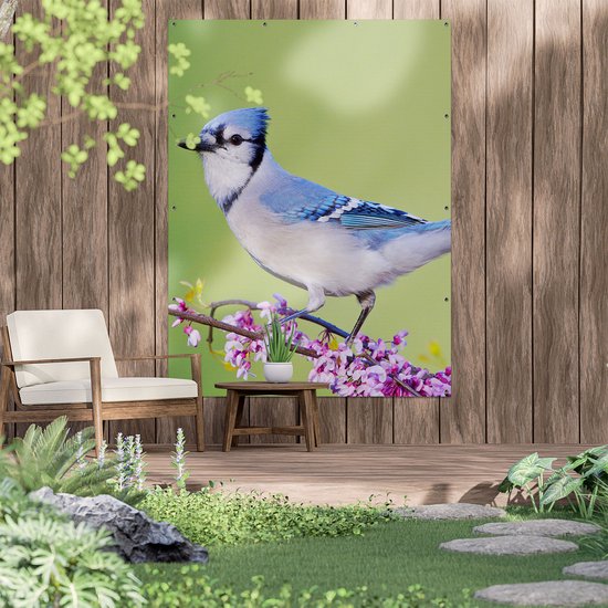 Gards Tuinposter Blauwe Gaai Vogel op een Tak - Kleur - 120x160 cm ...
