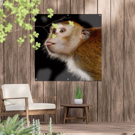 Gards Tuinposter Apenkop met Zijn Tong uit - Aap - 100x100 cm ...