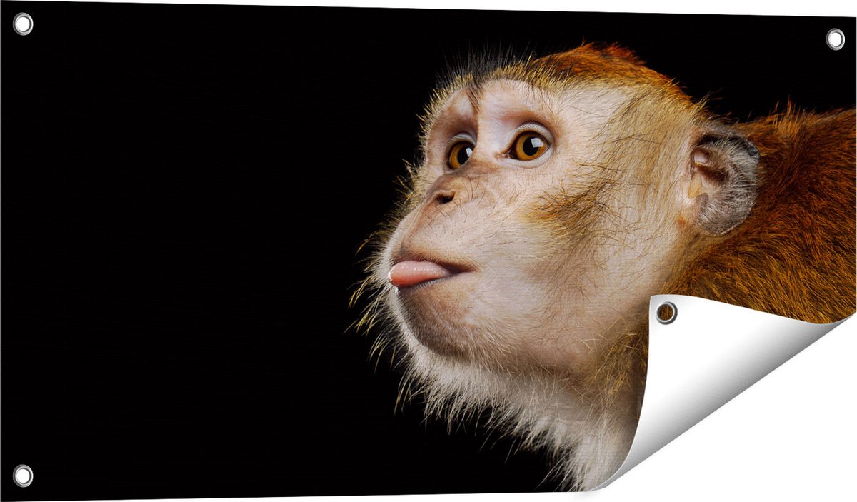 Gards Tuinposter Apenkop met Zijn Tong uit - Aap - 80x40 cm - Tuindoek ...