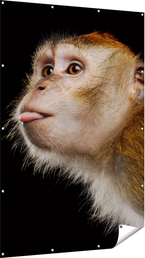 Gards Tuinposter Apenkop met Zijn Tong uit - Aap - 120x180 cm ...
