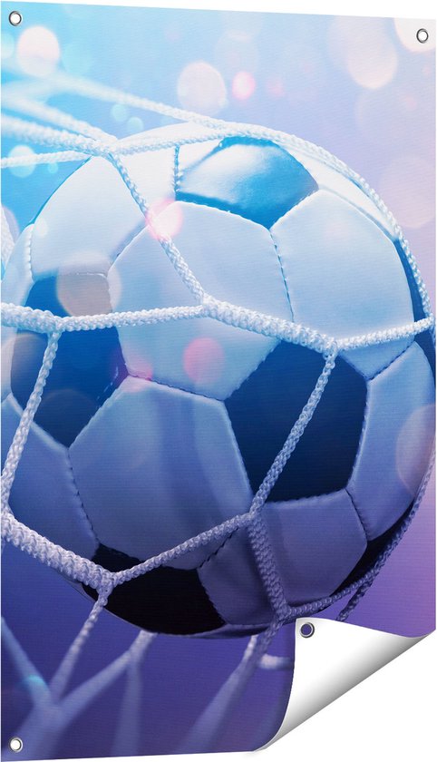 Gards Tuinposter Voetbal Bal Door het Goal Heen - 60x90 cm - Tuindoek - Tuindecoratie... | bol.com