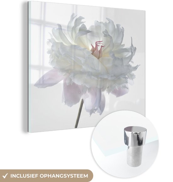 MuchoWow® Glasschilderij 20x20 cm - Schilderij acrylglas - Witte ...