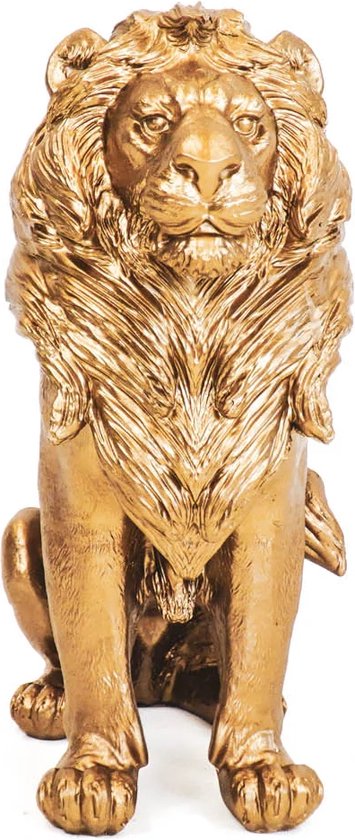 Housevitamin Gouden Leeuw | bol.com