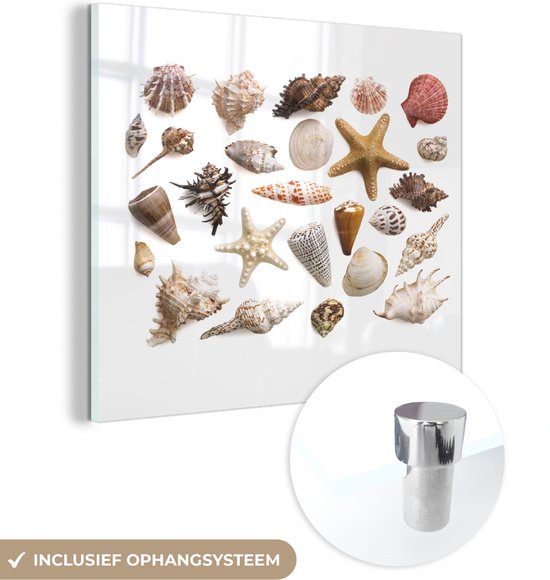 MuchoWow® Glasschilderij 50x50 cm - Schilderij acrylglas - Schelpen ...