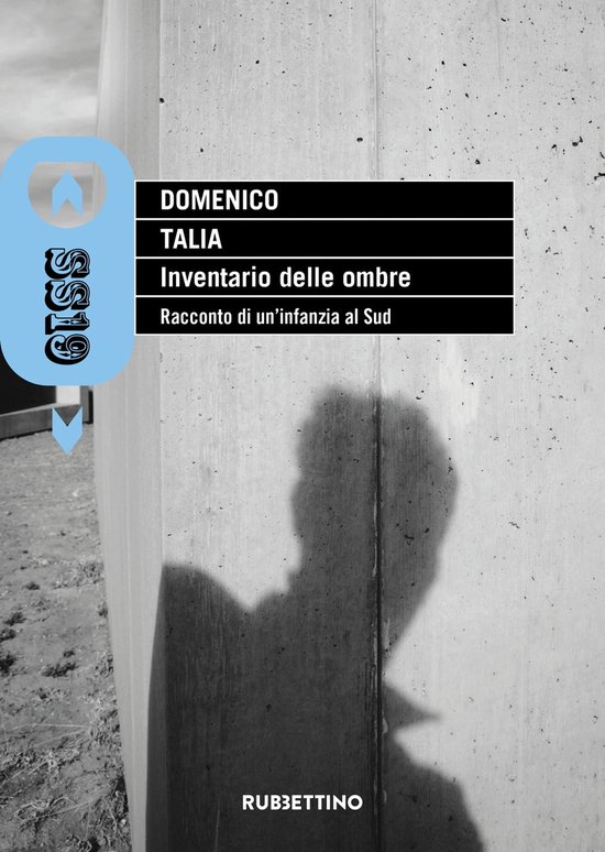 Inventario delle ombre (ebook), Domenico Talia | 9788849875676 | Boeken | bol